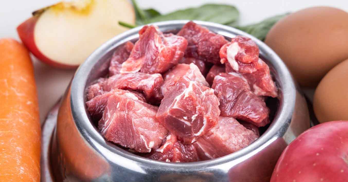 Is the BARF diet worth it? Benefits for your pets